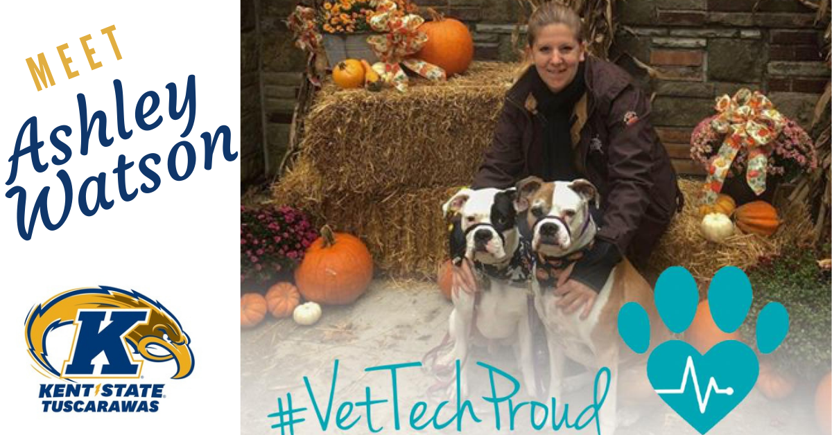 vet tech - Newsymom