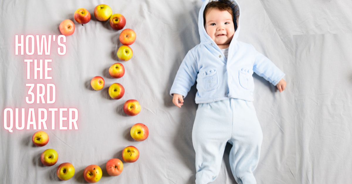 3rd Quarter FNBD Roots over Branches - Newsymom