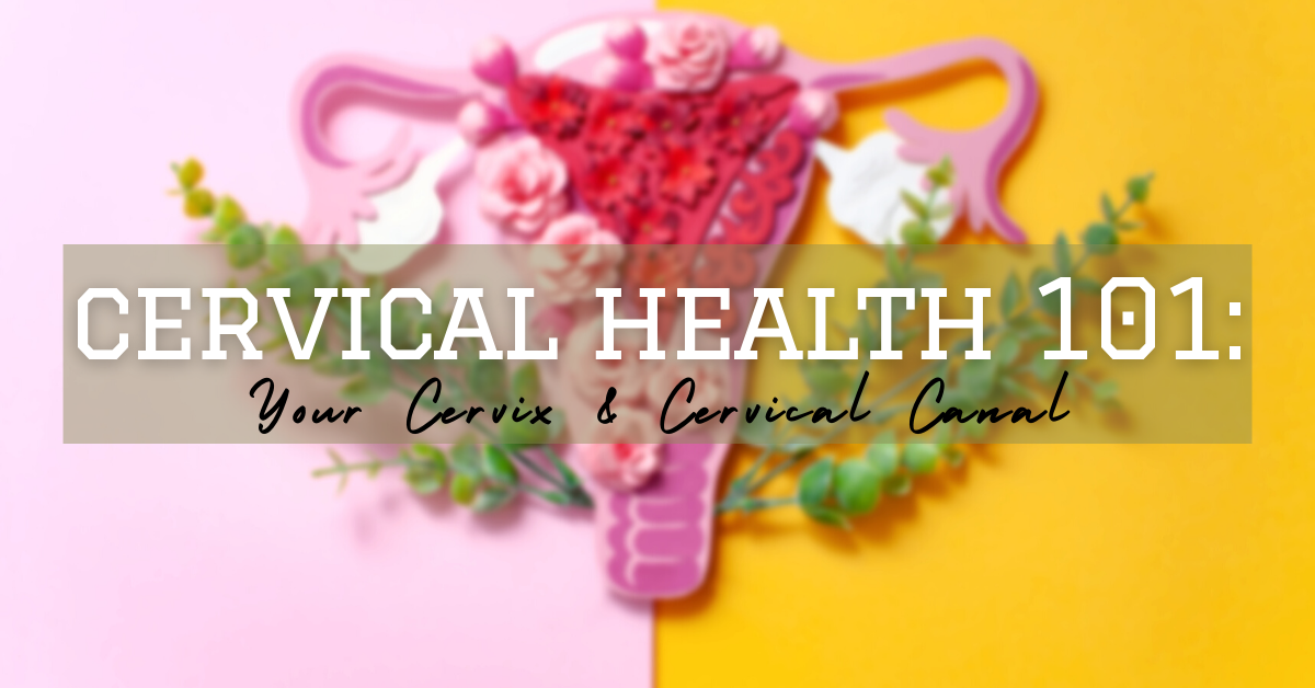 Cervical Health 101: Your Cervix and Cervical Canal - Newsymom